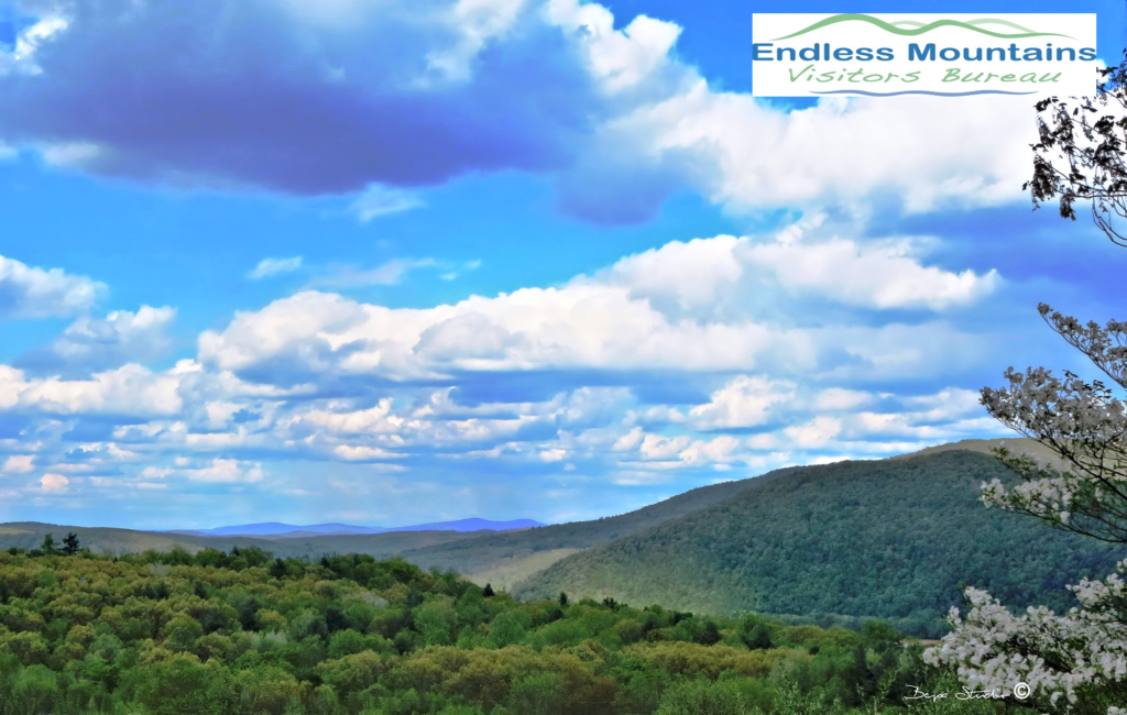Endless Mountains Visitors Bureau Pennsylvania - MATPRA