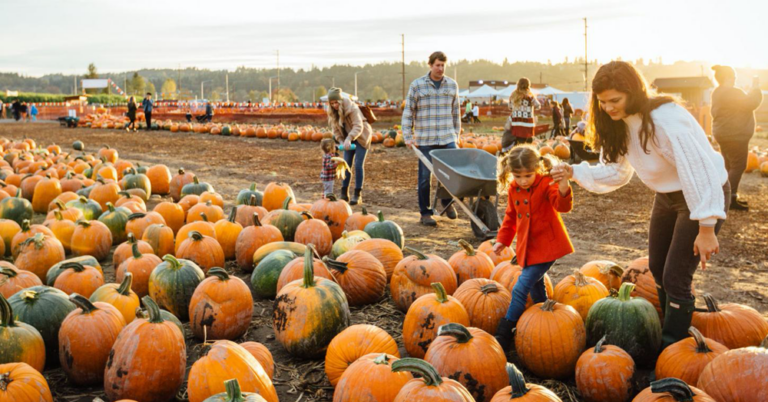 8 Must-Visit Fall Festivals in Caroline County, Maryland - MATPRA